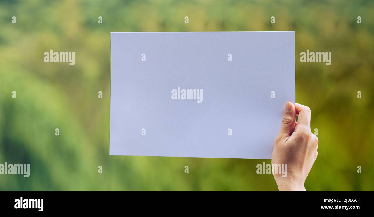 Show business paper in hand on nature background Stock Photo - Alamy
