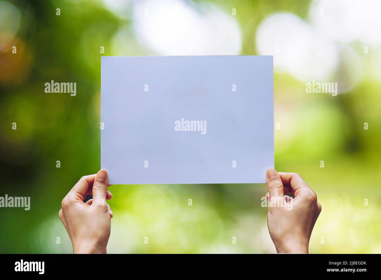 Show business paper in hand on nature background Stock Photo - Alamy