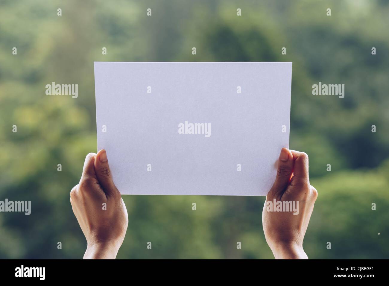 Show business paper in hand on nature background Stock Photo - Alamy