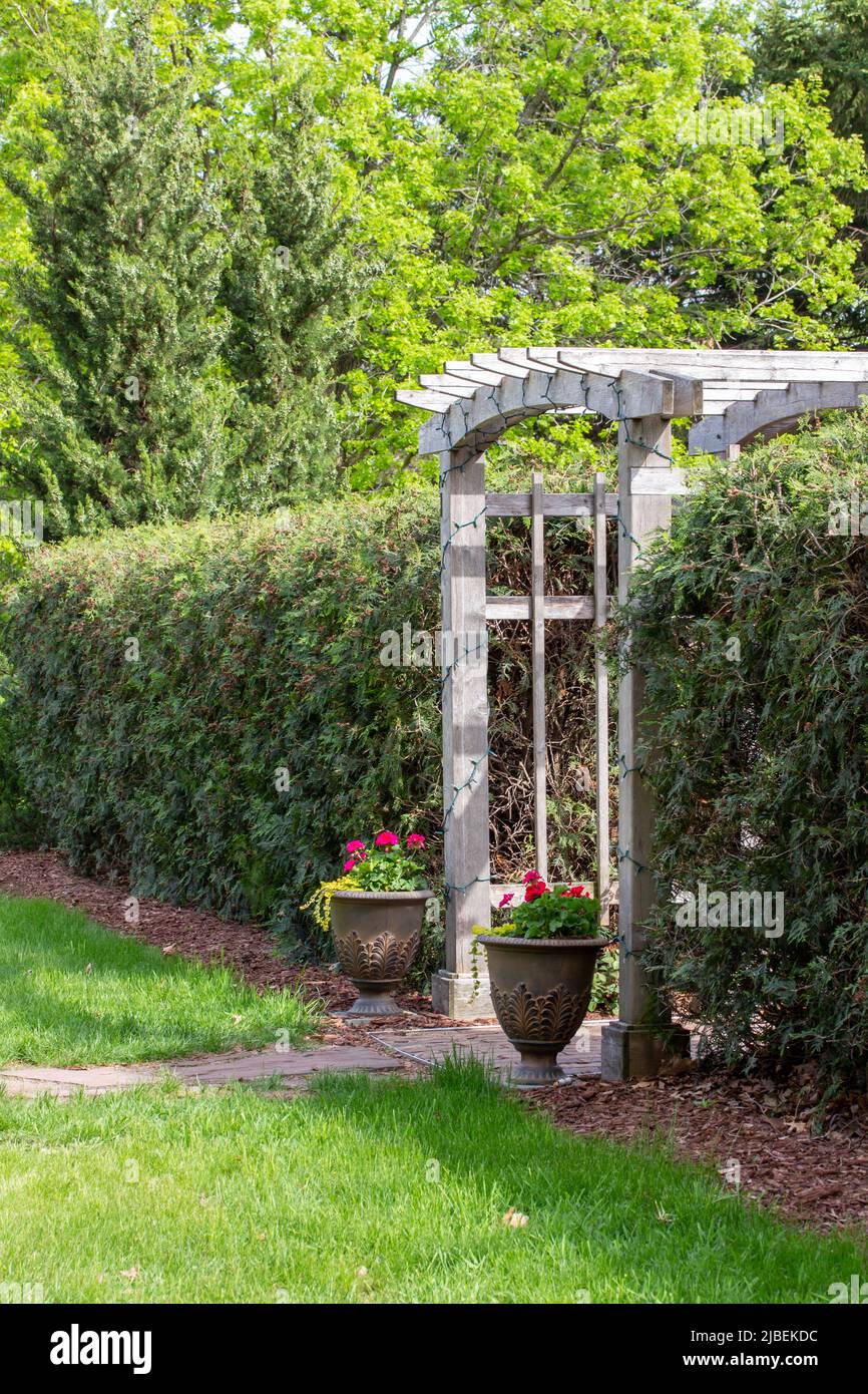 Landscape view of an arched wooden arbor trellis in an ornamental ...