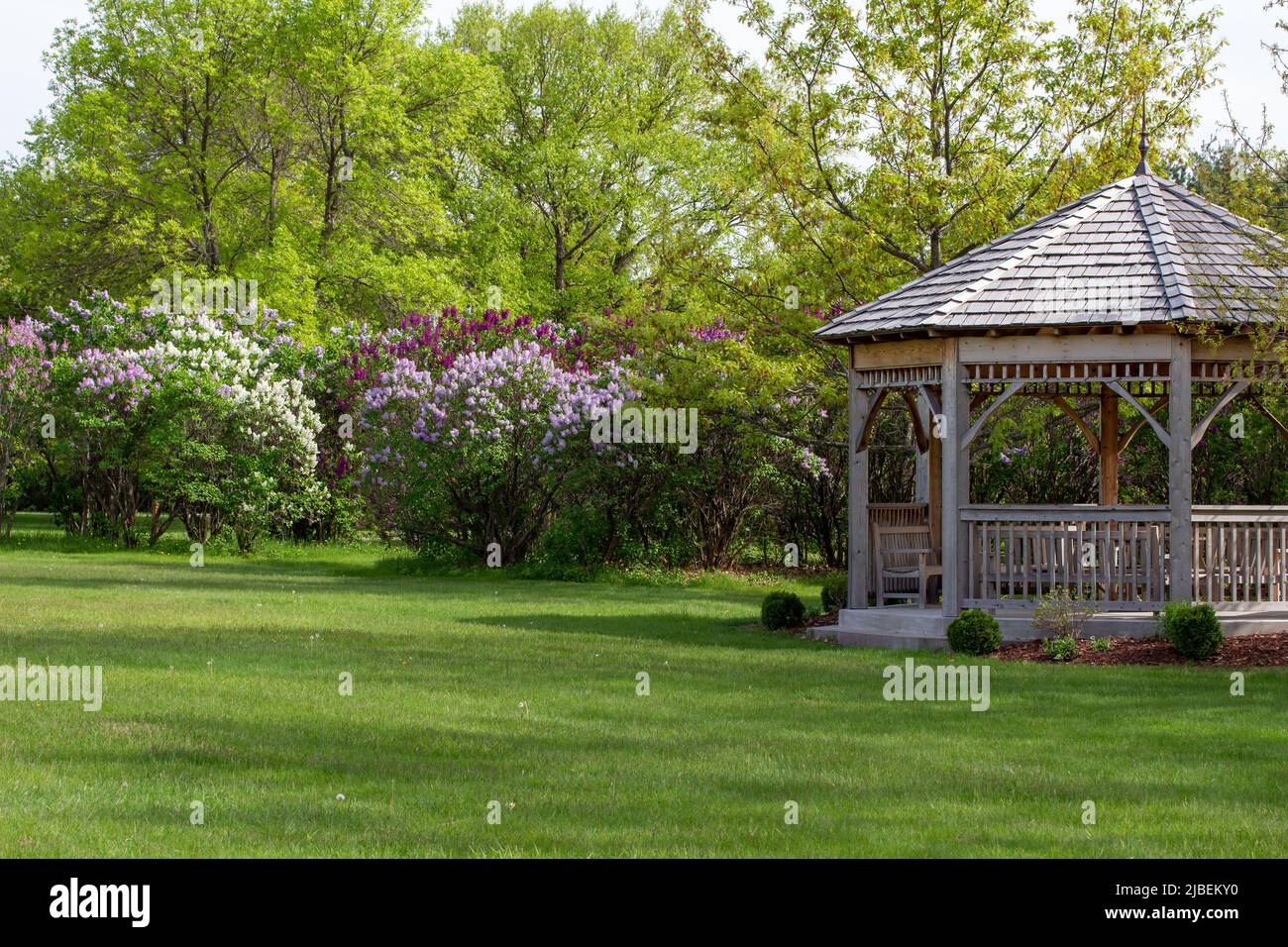 Landscape view of a wooden gazebo in an ornamental botanical garden ...