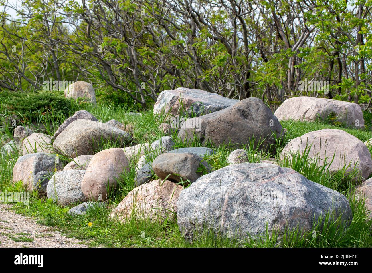 Close up view of natural glacier-carried field rocks transported and ...