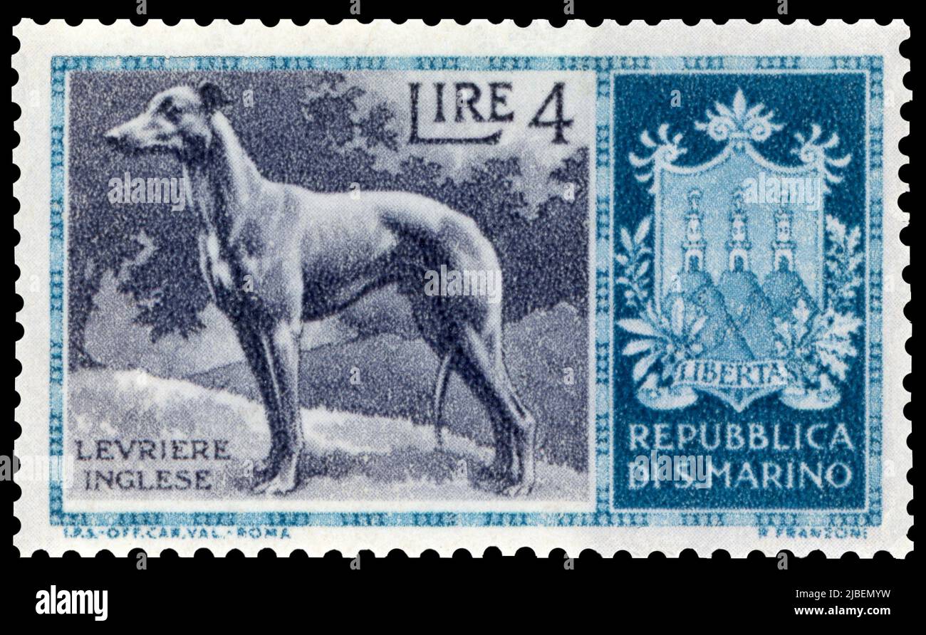 Greyhound Dog Breed on Stamp. San Marino 1959 postage stamp features a ...