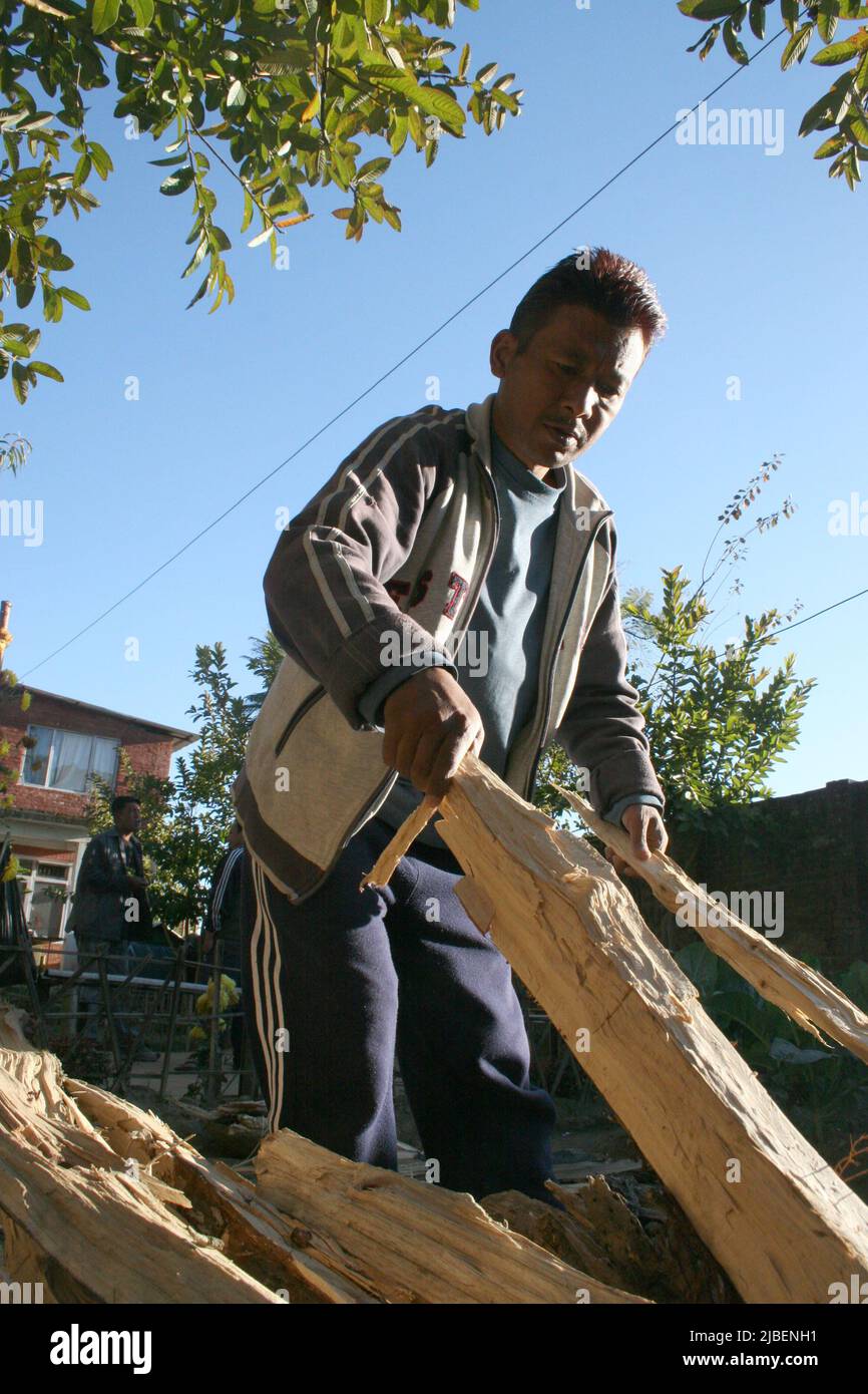 Fire wood collecting hi-res stock photography and images - Alamy