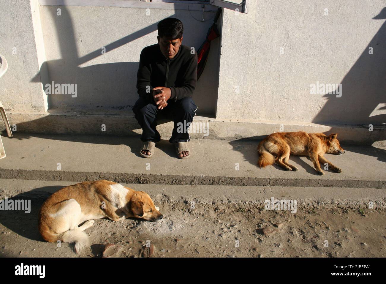 Dog man feeding stray hi-res stock photography and images - Alamy