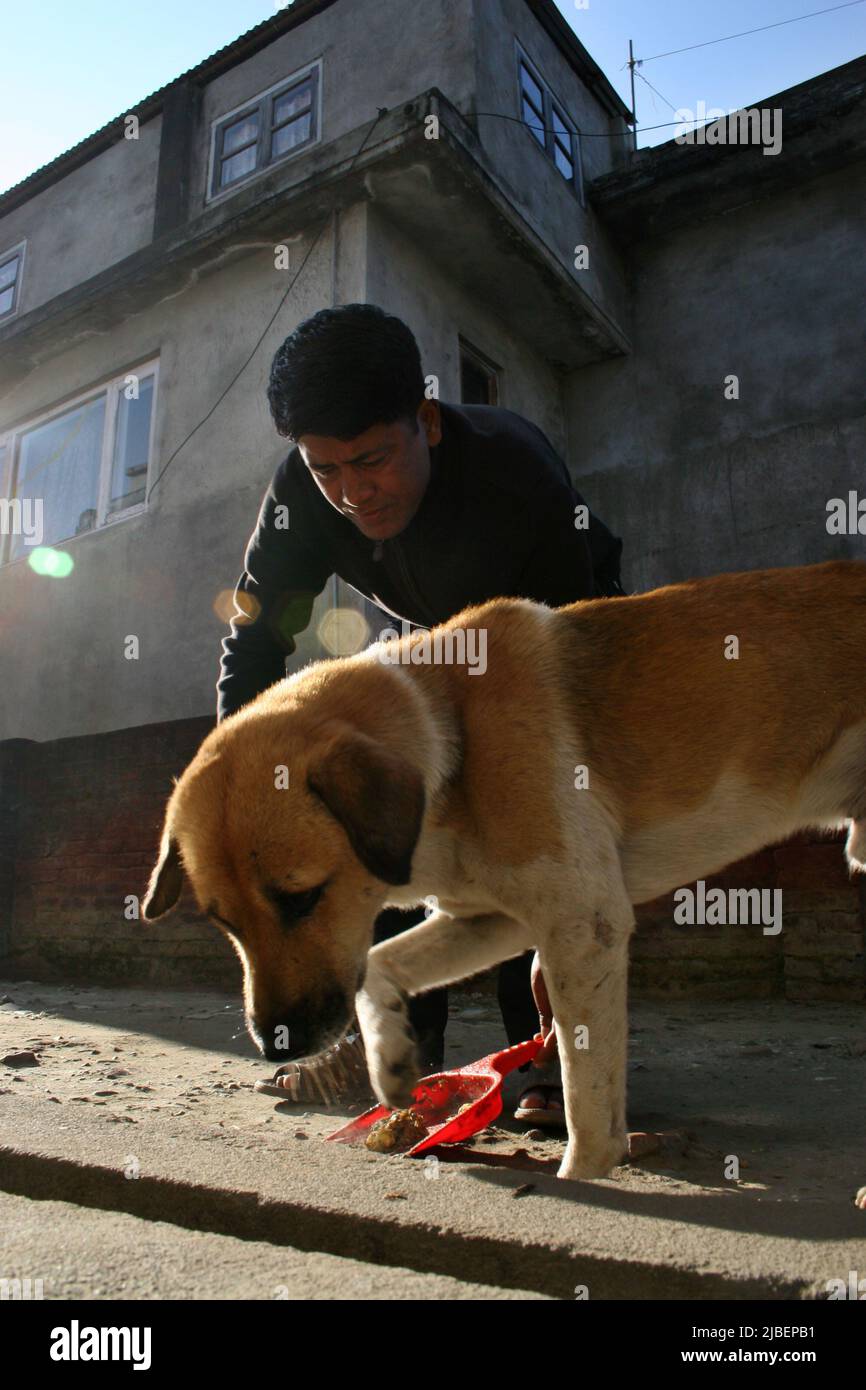 Dog man feeding stray hi-res stock photography and images - Alamy