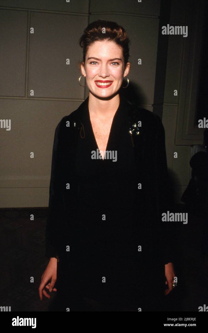 Lara Flynn Boyle at the 8th Annual Upton Sinclair Award Dinner at ...