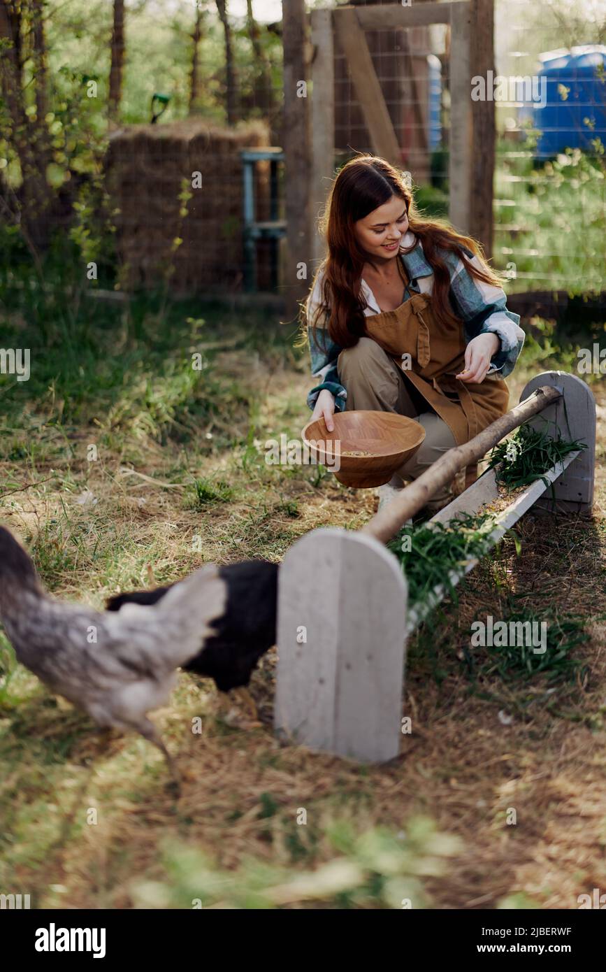 A woman works on a farm and feeds her chickens healthy food, putting ...