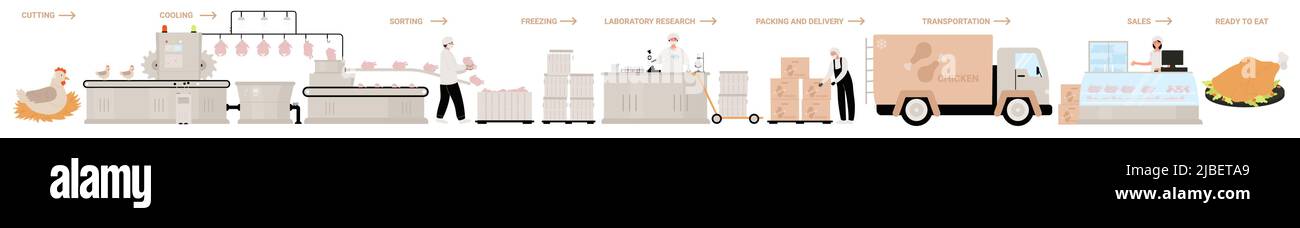 Chicken production, factory line infographic vector illustration ...