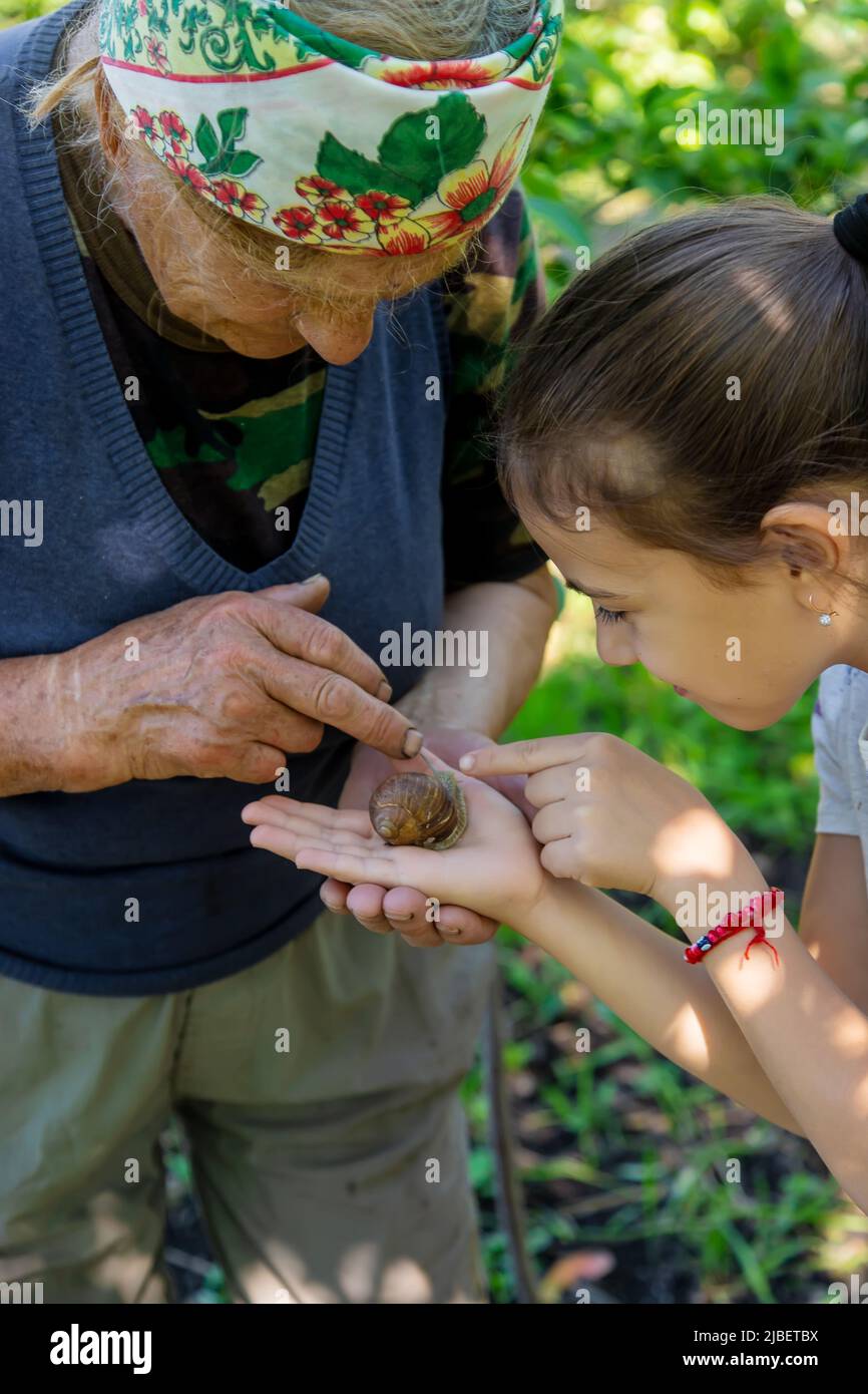 The child examines the snails on the tree. Selective focus Stock Photo ...