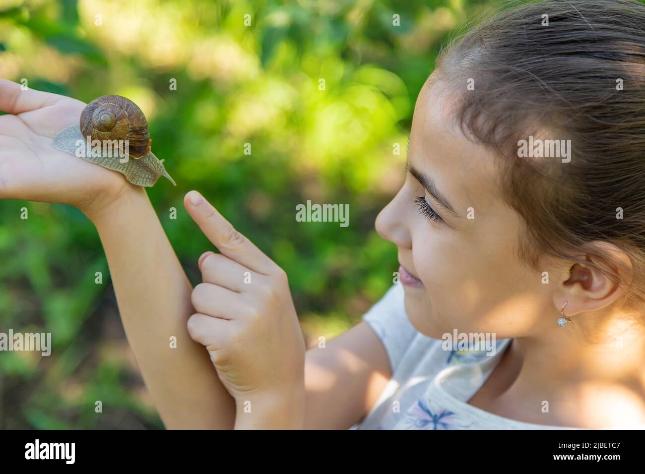 The child examines the snails on the tree. Selective focus Stock Photo ...