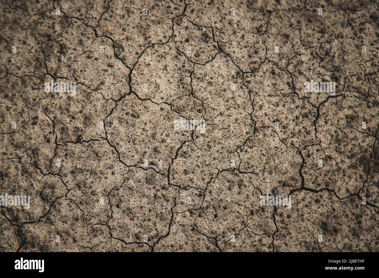 Dry cracked ground background texture Selective focus Stock Photo - Alamy