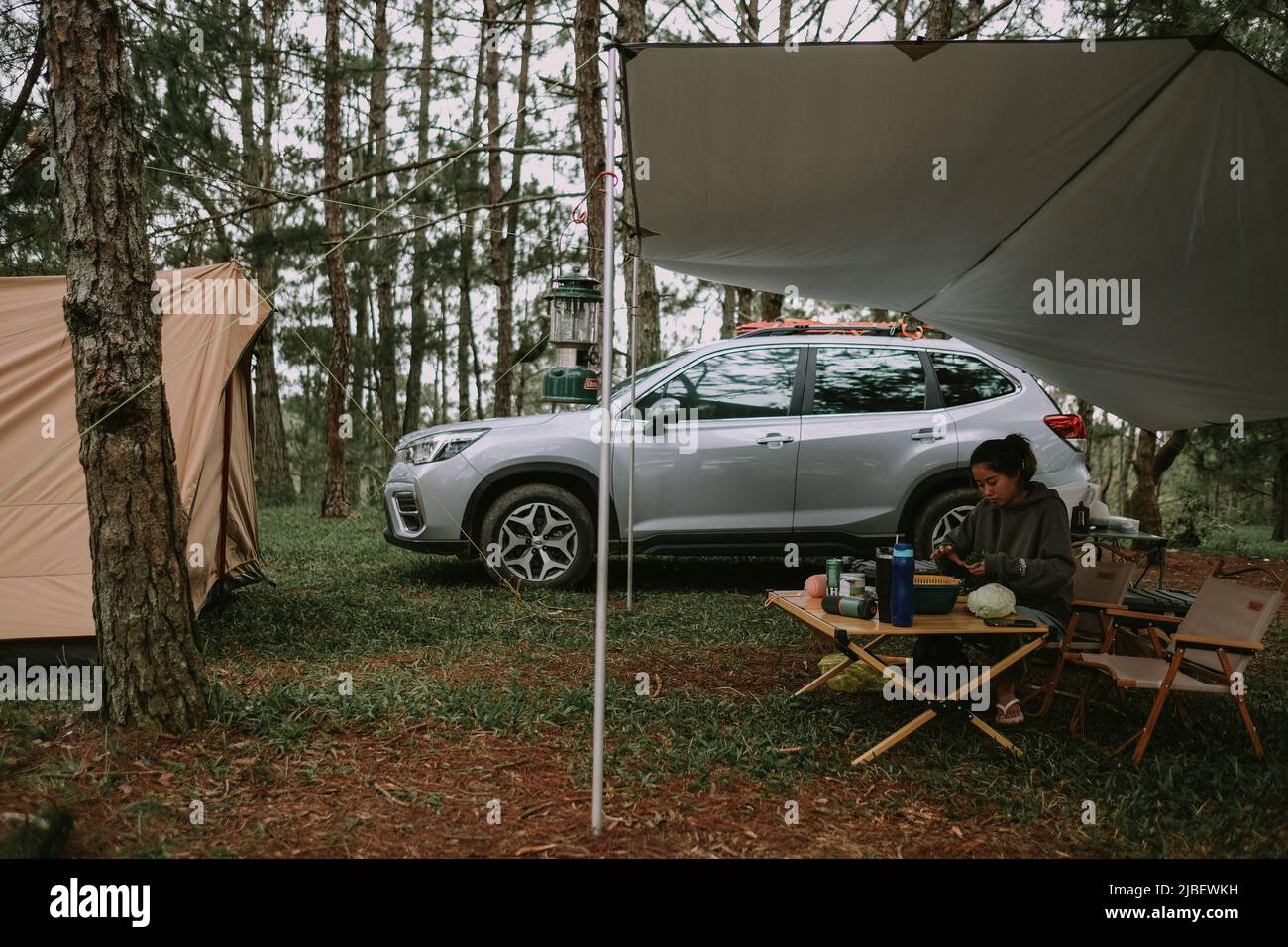 Relaxing nature in the pine forest with Subaru Forester. Camping and ...