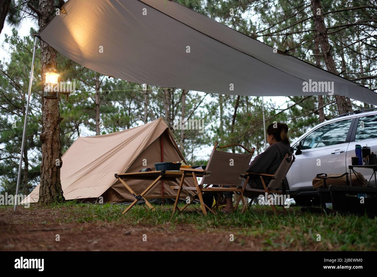 Relaxing nature in the pine forest with Subaru Forester. Camping and ...
