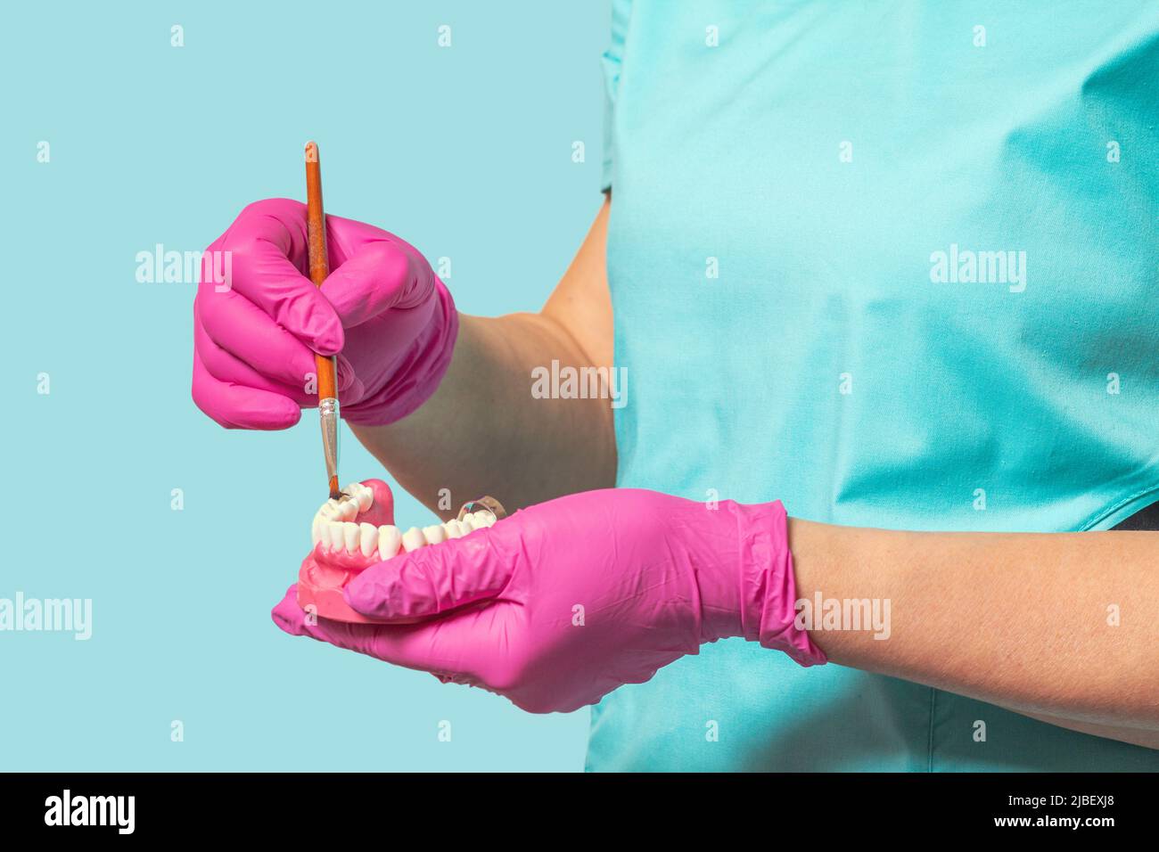 Close-up view of hands in latex gloves with a layout of the human jaw ... Close-up view of hands in latex gloves with a layout of the human jaw ...