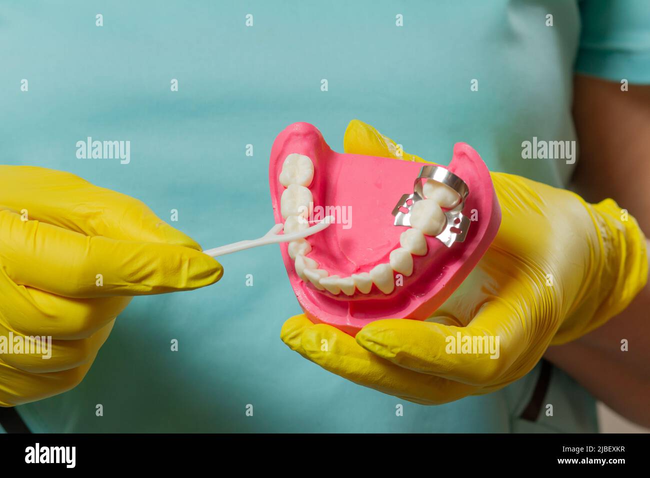 Close-up view of hands with a human jaw layout and a floss toothpick ...