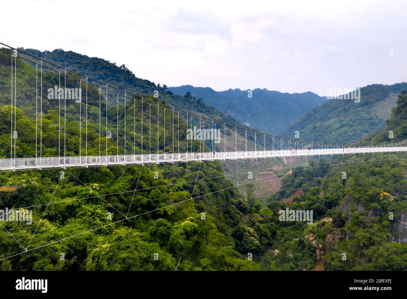 Bach Long Glass Bridge in Moc Chau District, Son La Province, Vietnam ...
