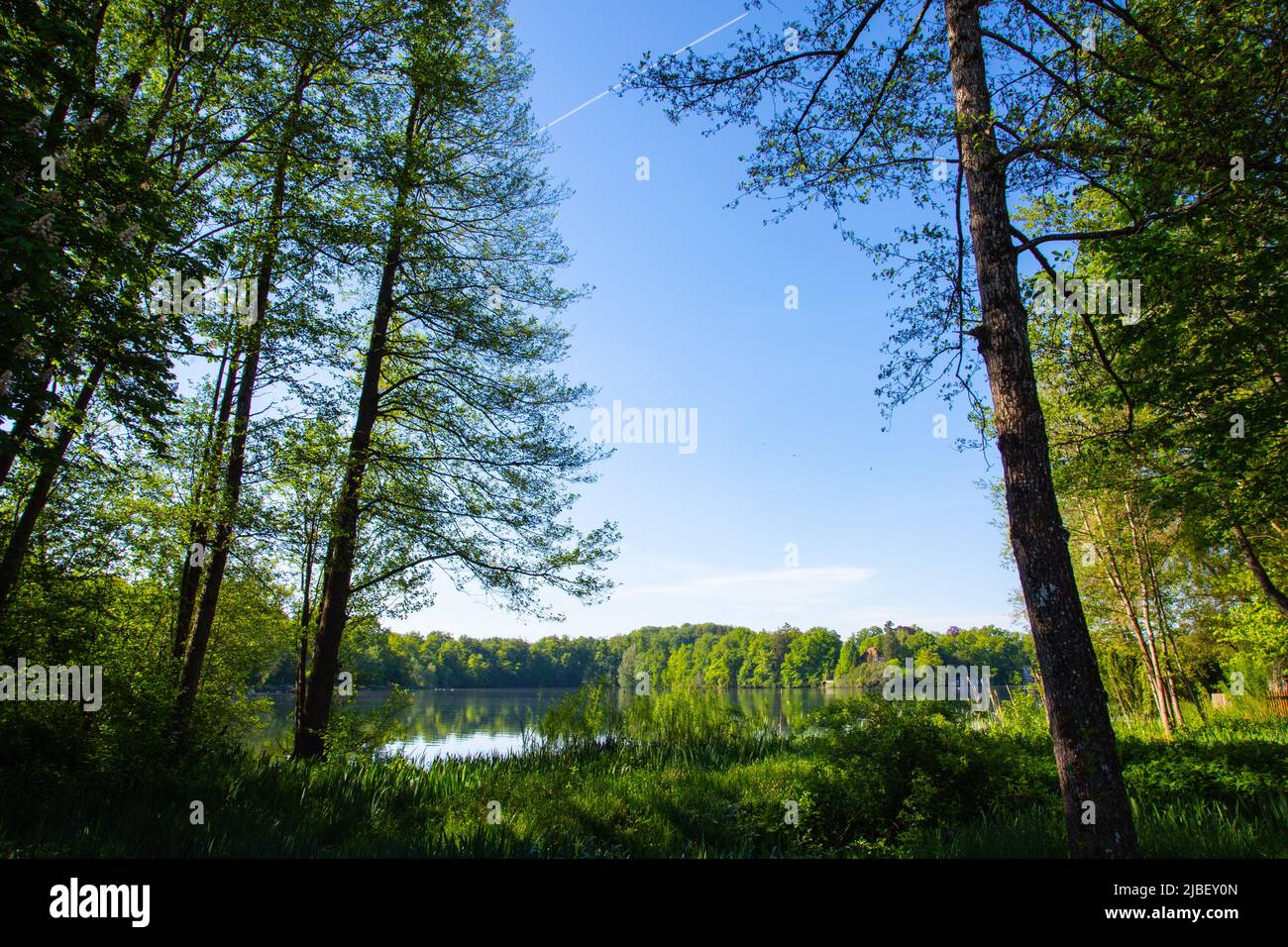 Wesslinger See in Bavaria, nature reserve and biotope Stock Photo - Alamy