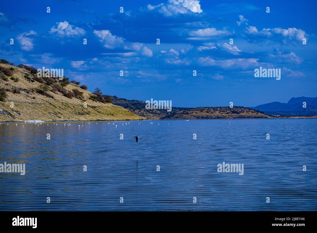 Kenyan Landscapes Lake Magadi is the southernmost lake in the Kenyan ...