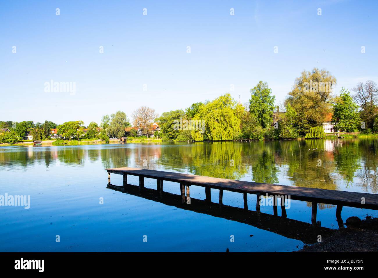 Wesslinger See in Bavaria, nature reserve and biotope Stock Photo - Alamy