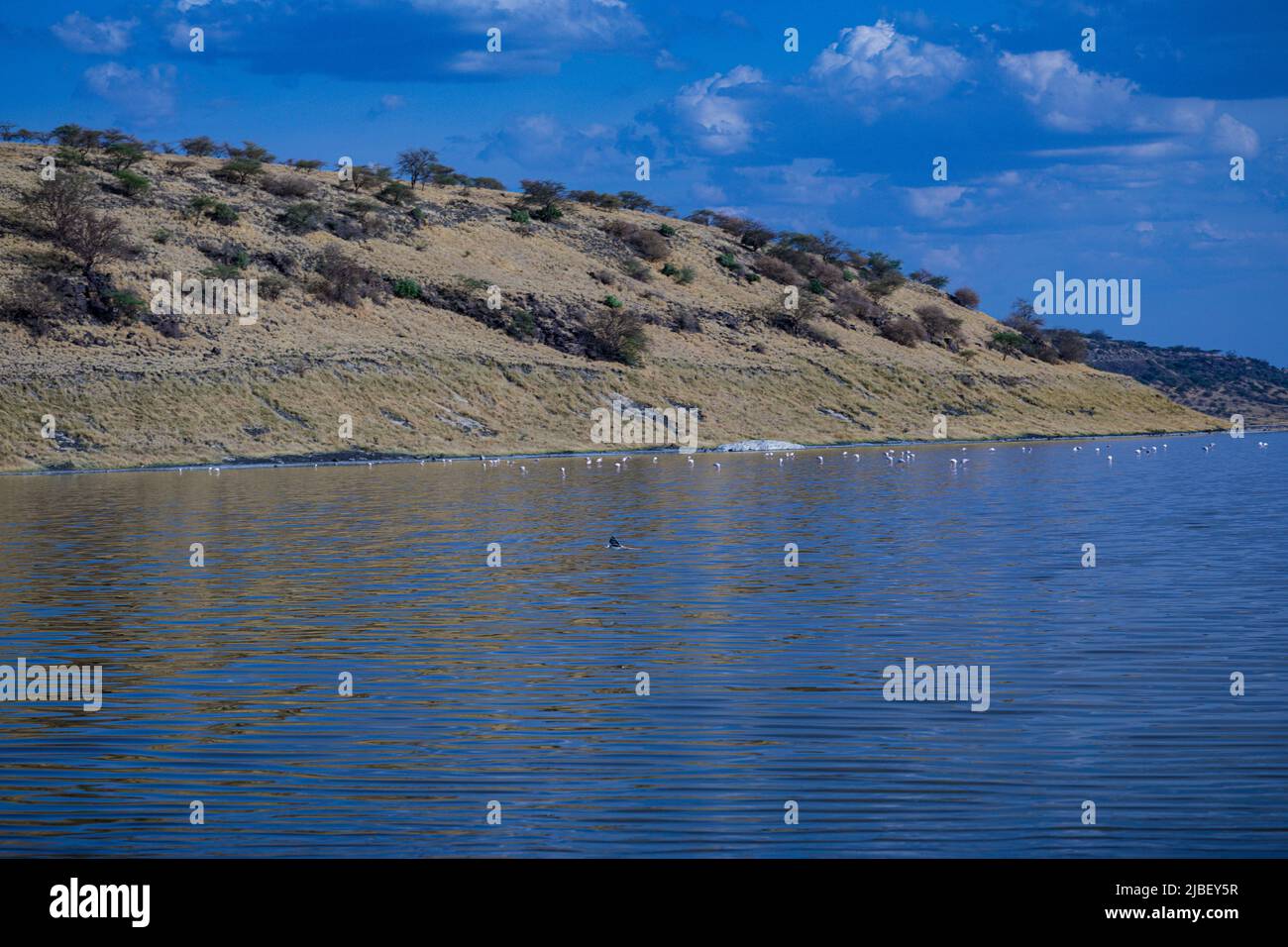 Kenyan Landscapes Lake Magadi is the southernmost lake in the Kenyan ...