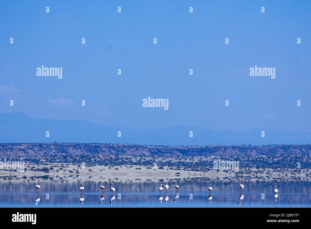 Kenyan Landscapes Lake Magadi is the southernmost lake in the Kenyan ...