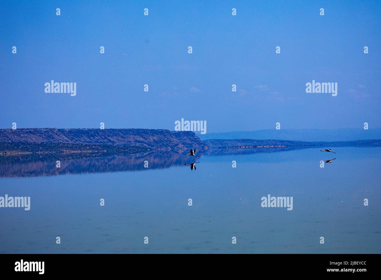 Kenyan Landscapes Lake Magadi is the southernmost lake in the Kenyan ...