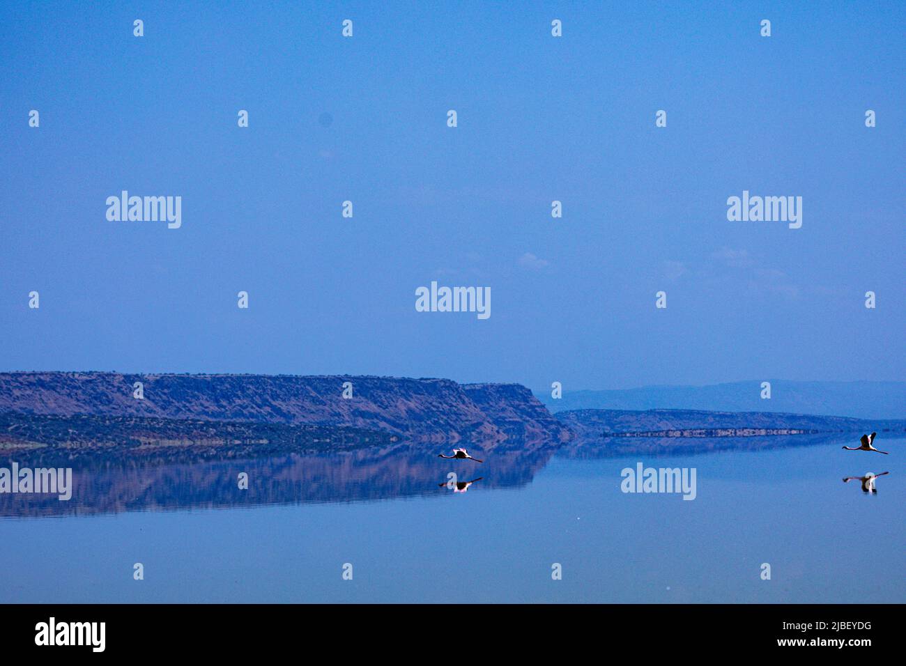 Kenyan Landscapes Lake Magadi is the southernmost lake in the Kenyan ...