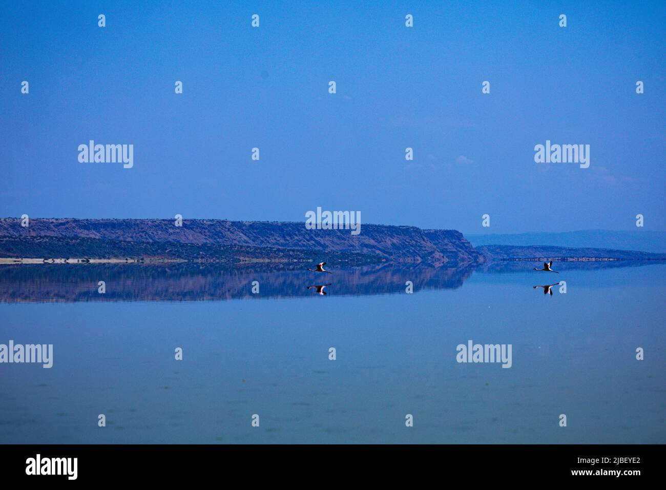 Kenyan Landscapes Lake Magadi is the southernmost lake in the Kenyan ...