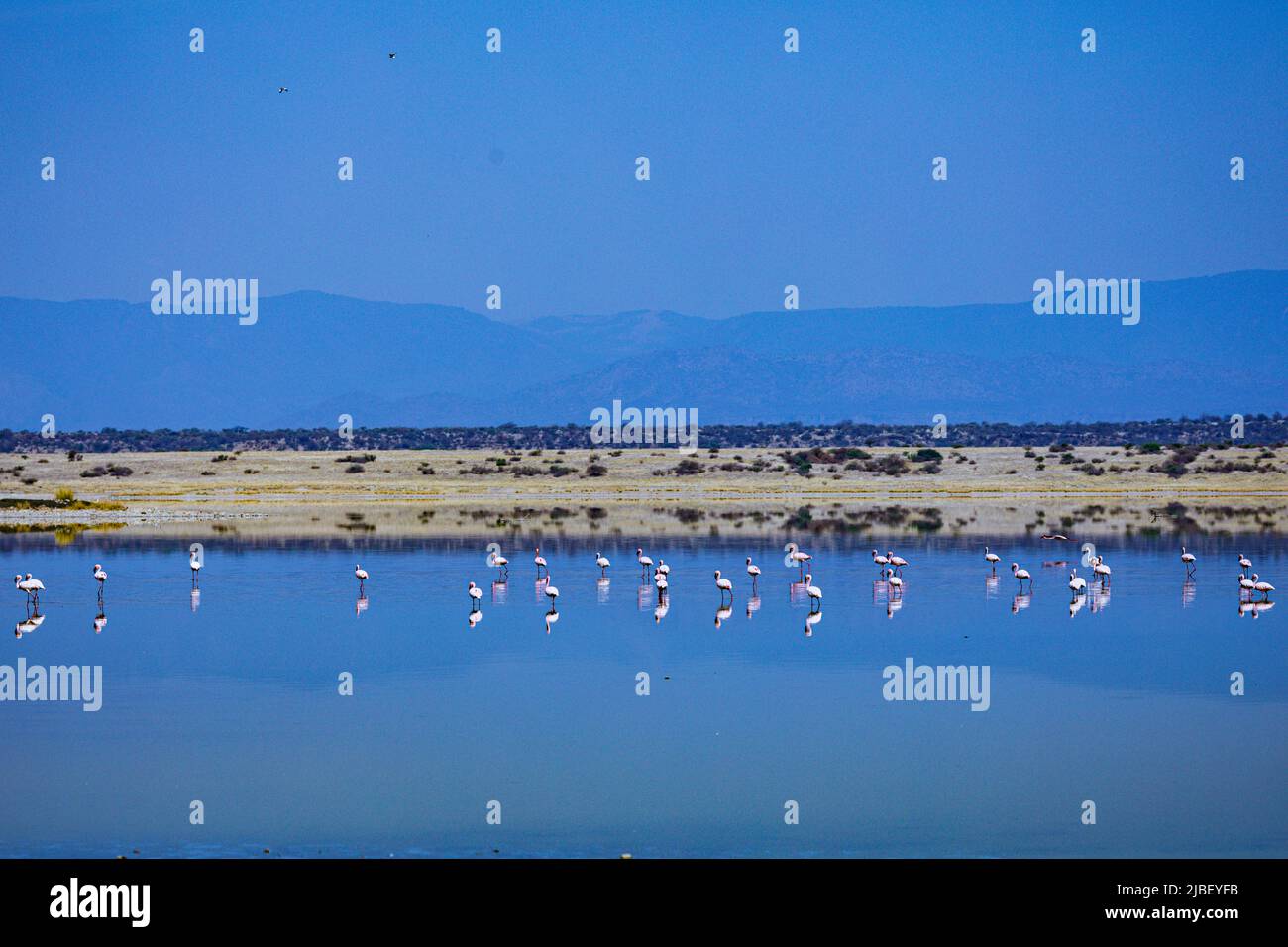 Kenyan Landscapes Lake Magadi is the southernmost lake in the Kenyan ...