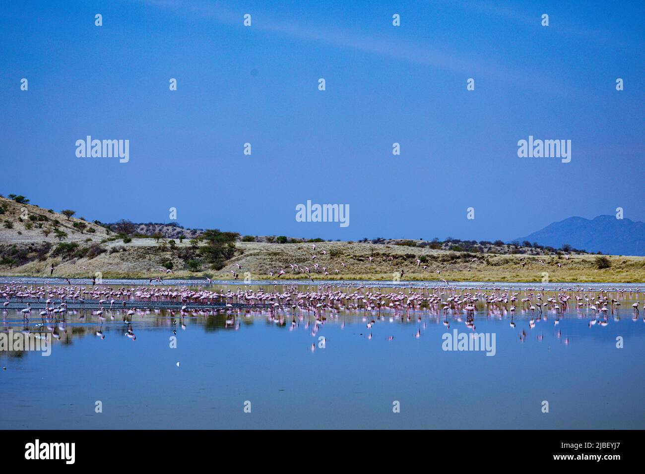 Kenyan Landscapes Lake Magadi is the southernmost lake in the Kenyan ...