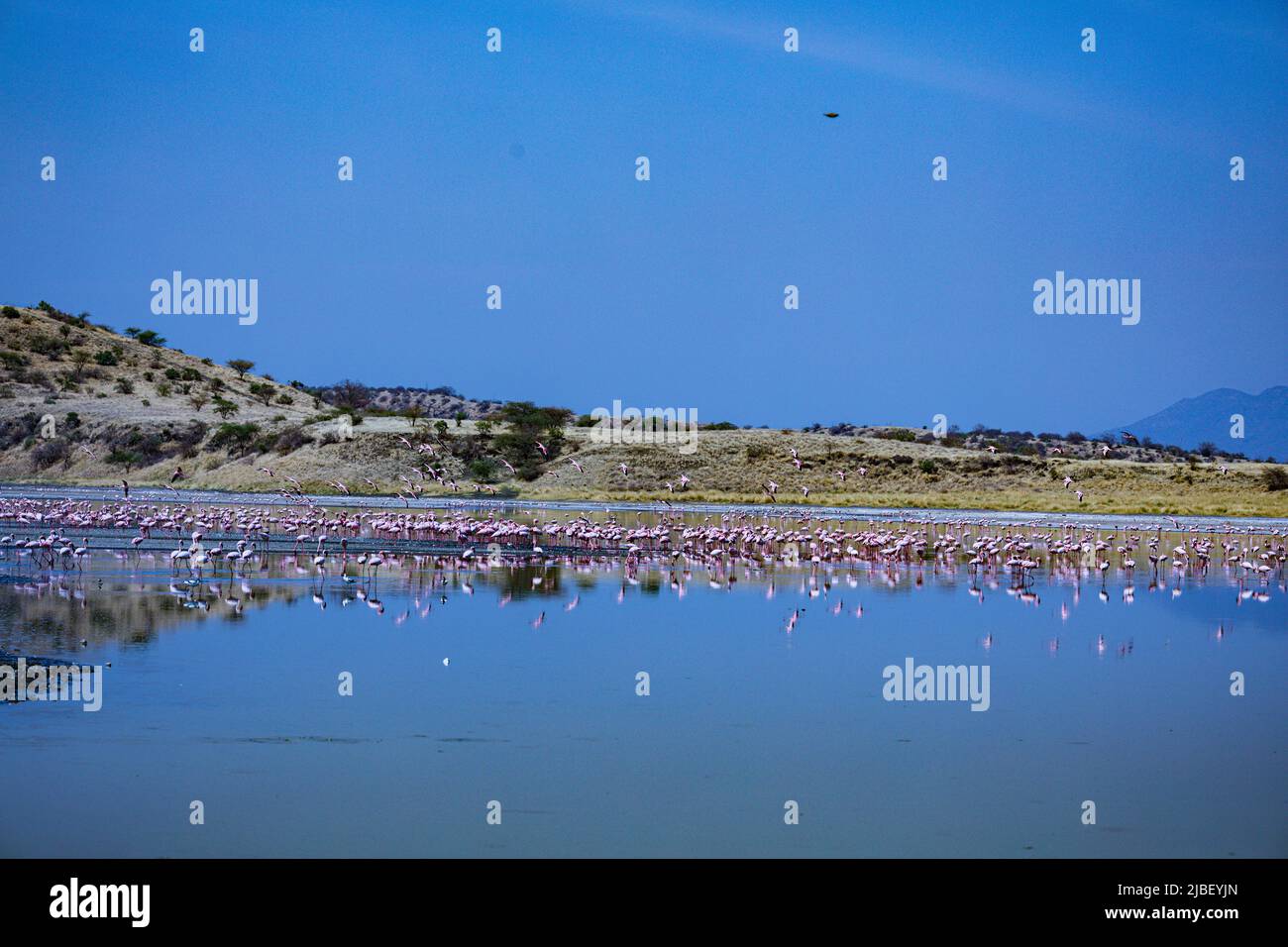 Kenyan Landscapes Lake Magadi is the southernmost lake in the Kenyan ...