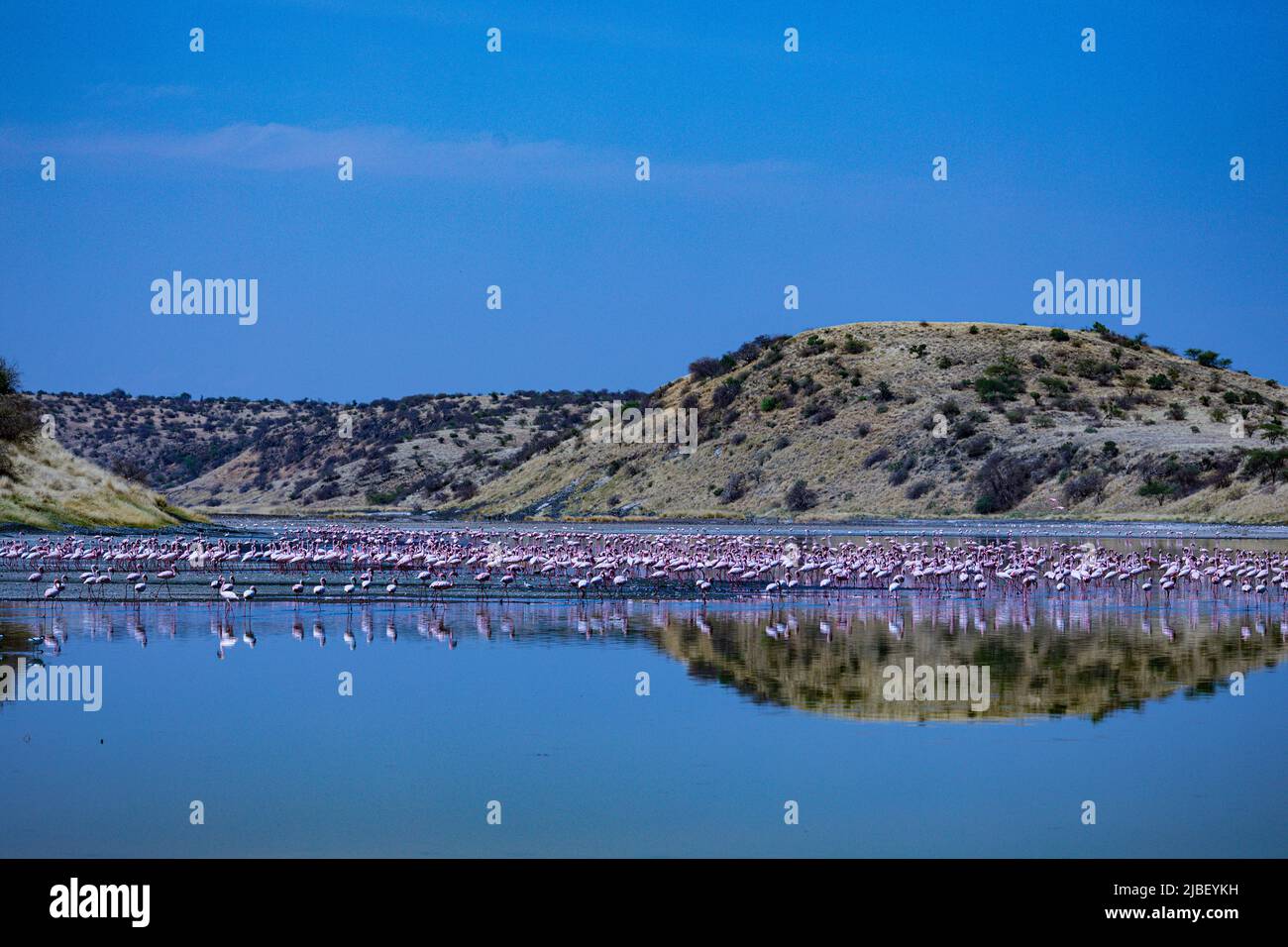Kenyan Landscapes Lake Magadi is the southernmost lake in the Kenyan ...