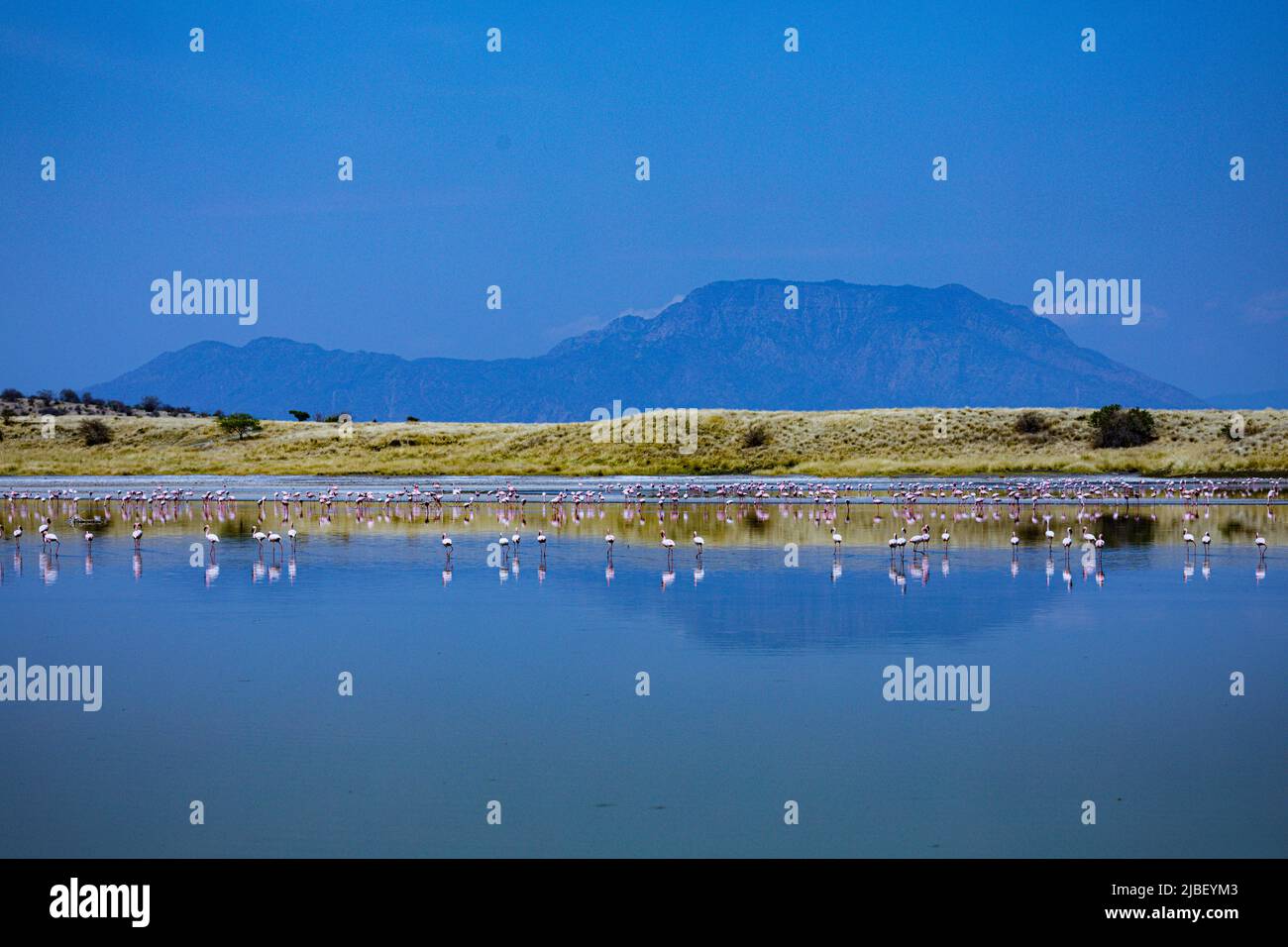 Kenyan Landscapes Lake Magadi is the southernmost lake in the Kenyan ...