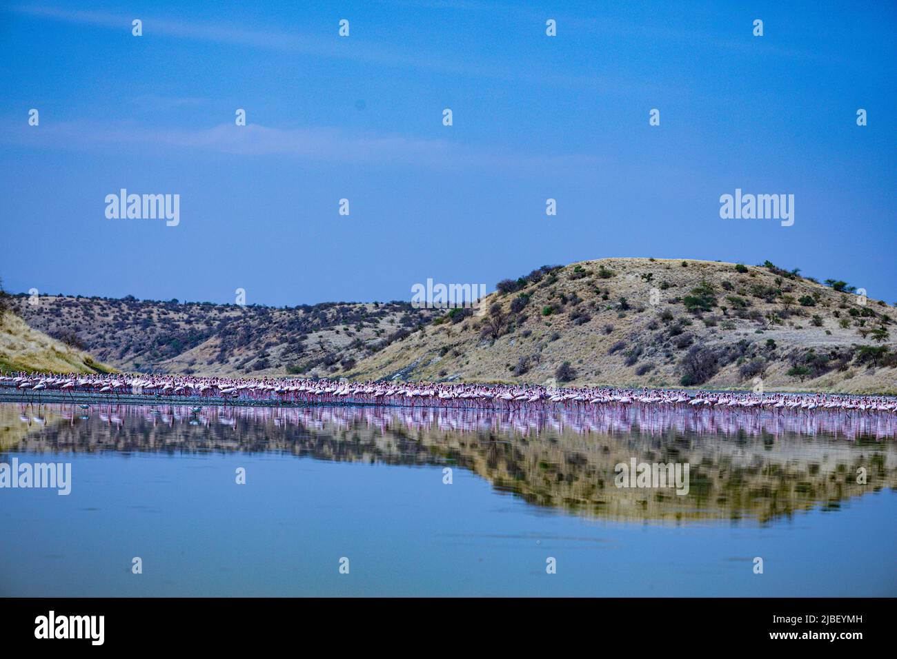 Kenyan Landscapes Lake Magadi is the southernmost lake in the Kenyan ...