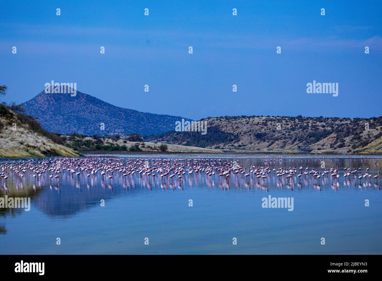 Kenyan Landscapes Lake Magadi is the southernmost lake in the Kenyan ...