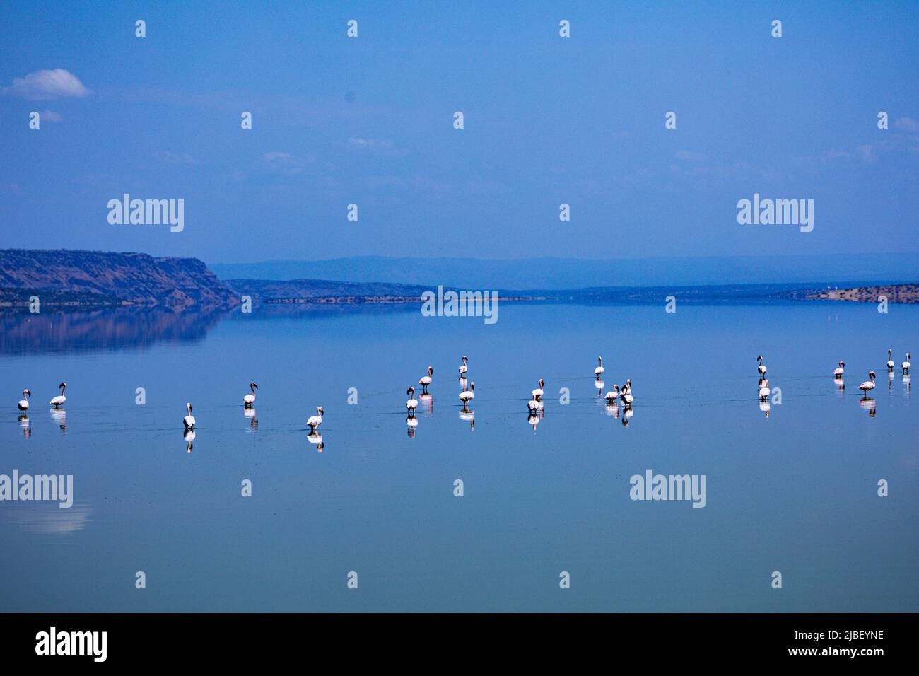 Kenyan Landscapes Lake Magadi is the southernmost lake in the Kenyan ...