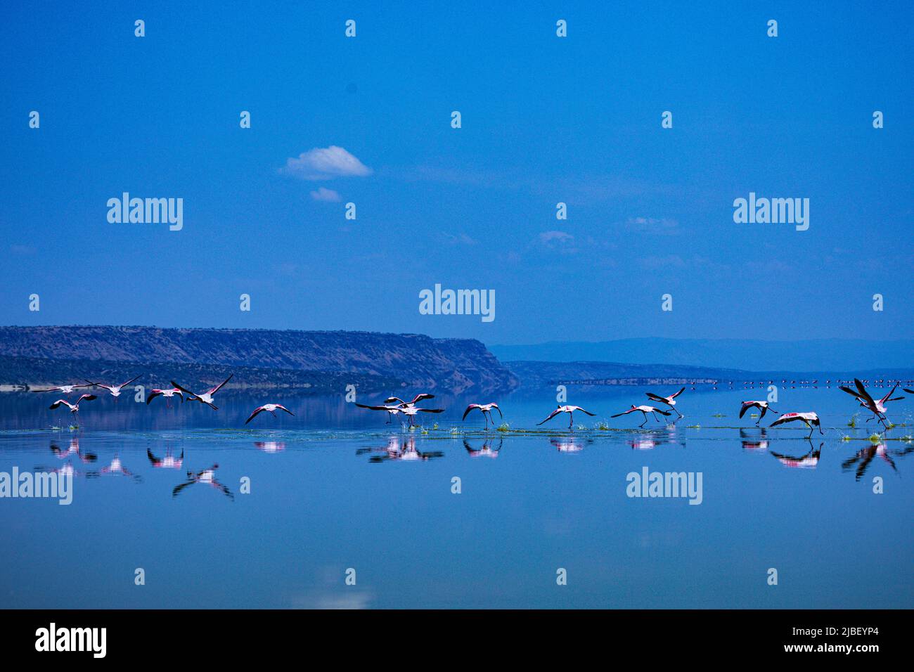 Kenyan Landscapes Lake Magadi is the southernmost lake in the Kenyan ...