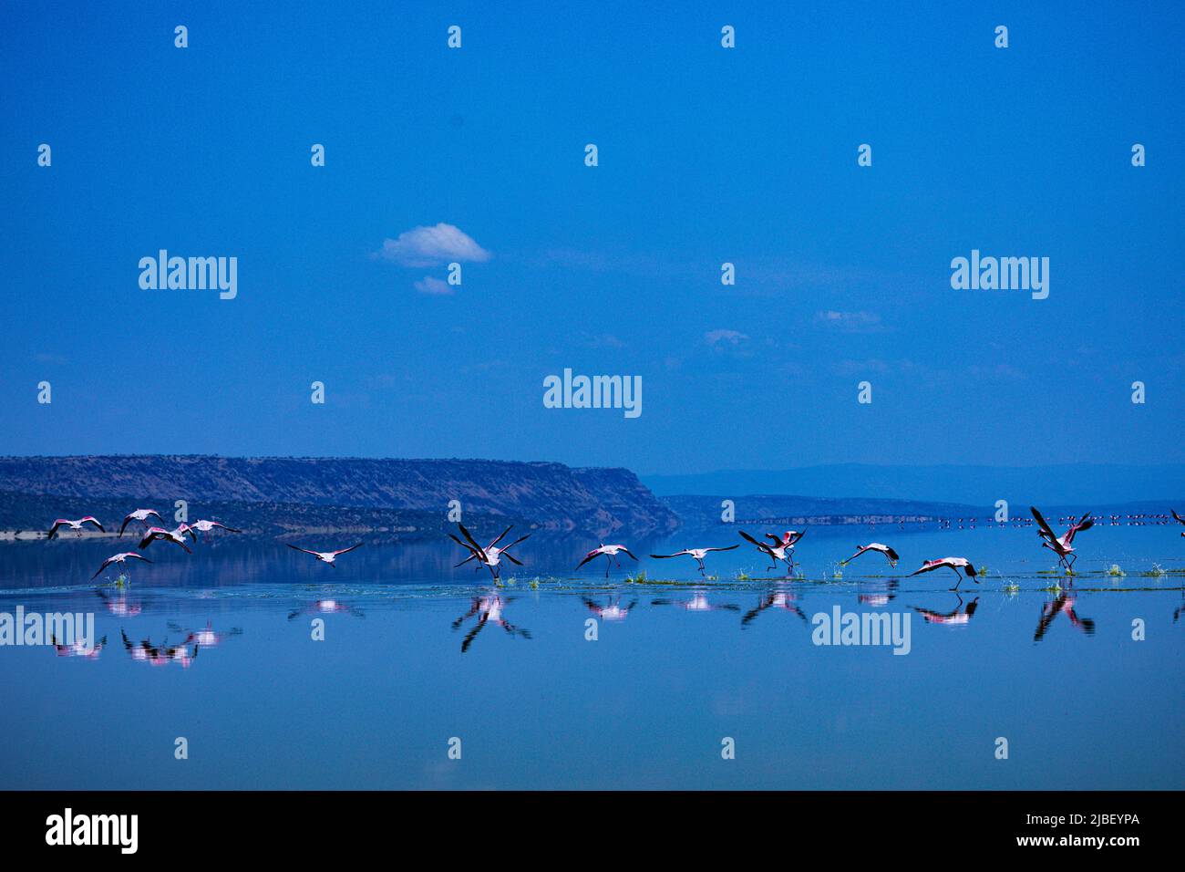 Kenyan Landscapes Lake Magadi is the southernmost lake in the Kenyan ...