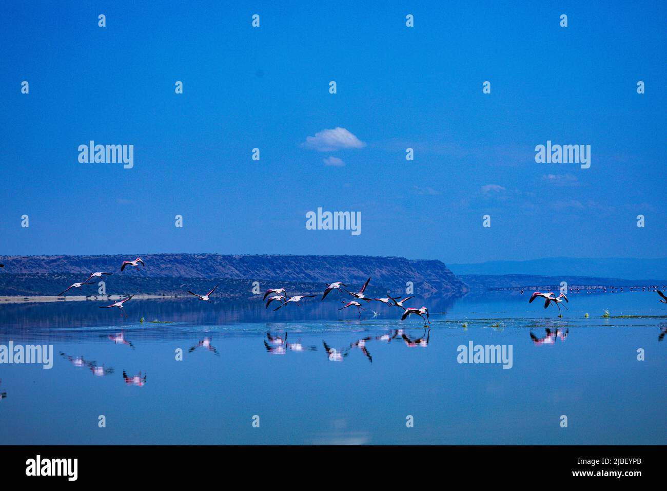 Kenyan Landscapes Lake Magadi is the southernmost lake in the Kenyan ...