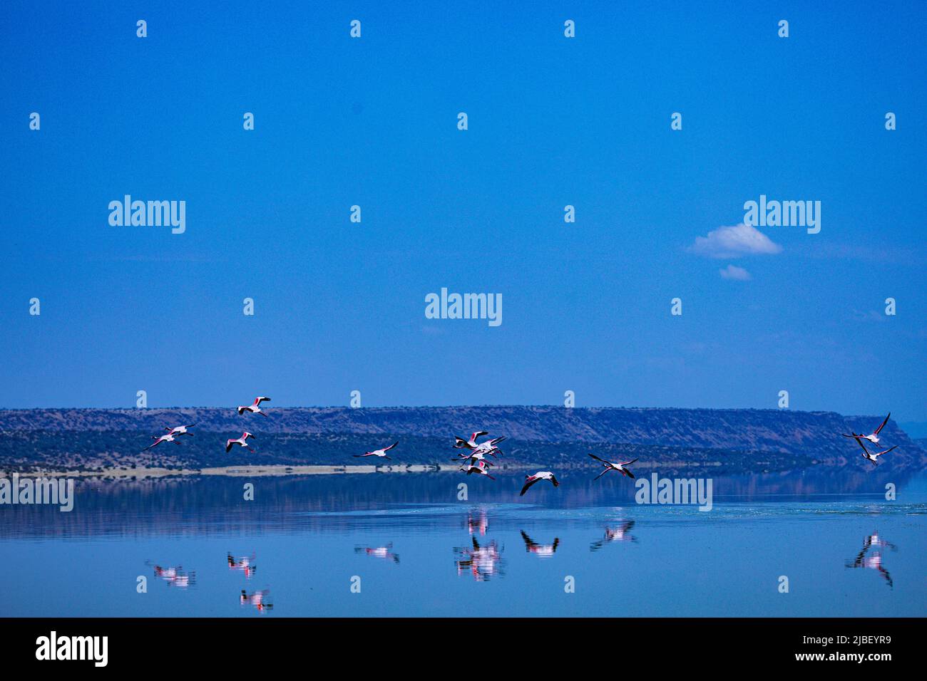 Kenyan Landscapes Lake Magadi is the southernmost lake in the Kenyan ...