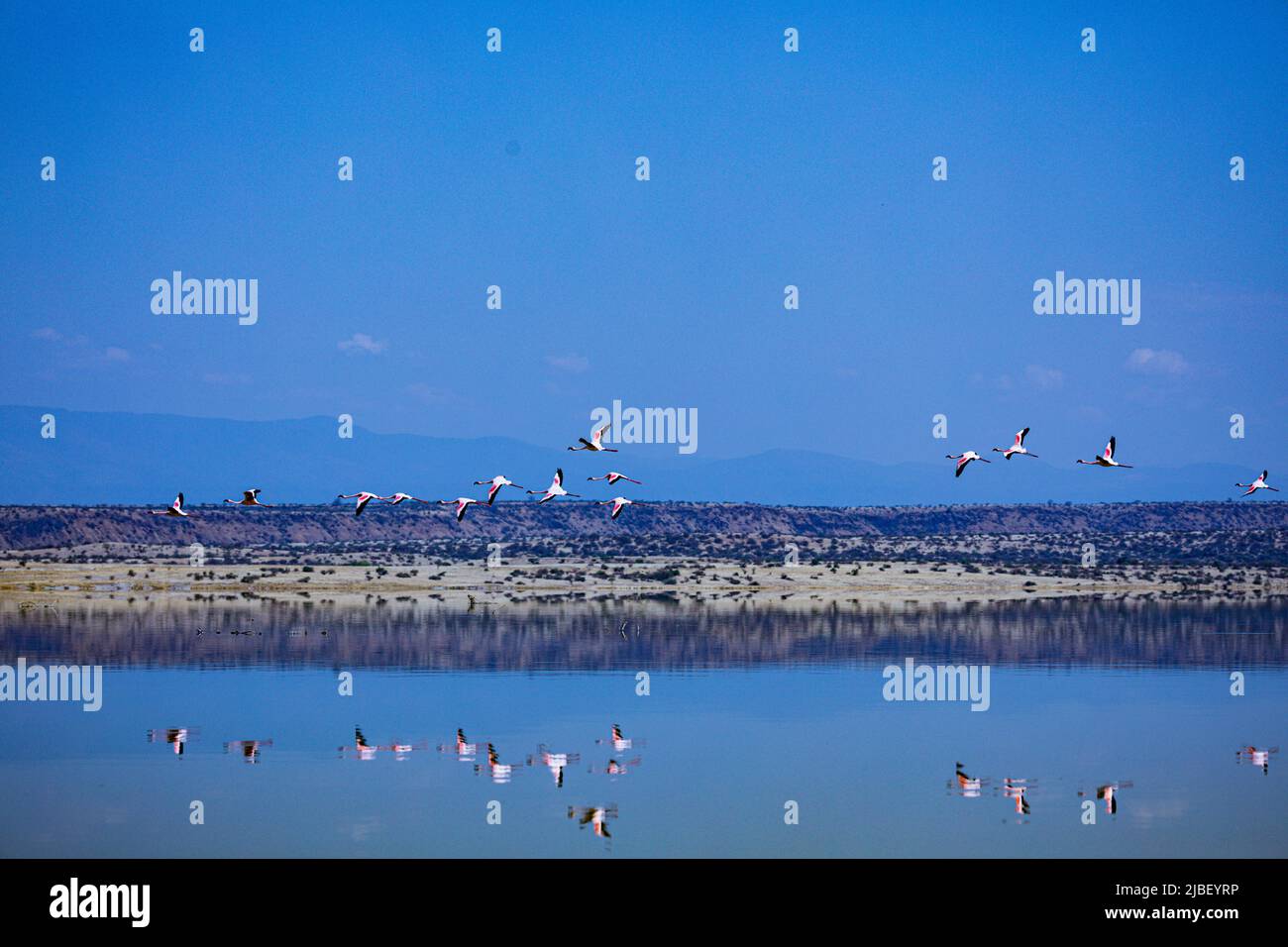 Kenyan Landscapes Lake Magadi is the southernmost lake in the Kenyan ...