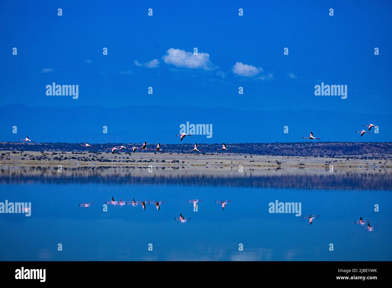 Kenyan Landscapes Lake Magadi is the southernmost lake in the Kenyan ...