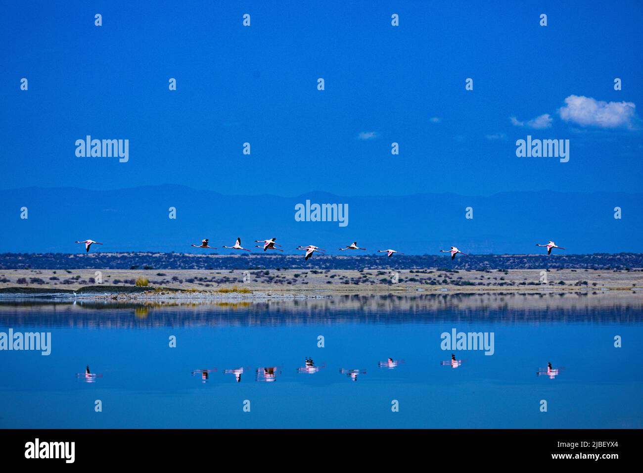 Kenyan Landscapes Lake Magadi is the southernmost lake in the Kenyan ...