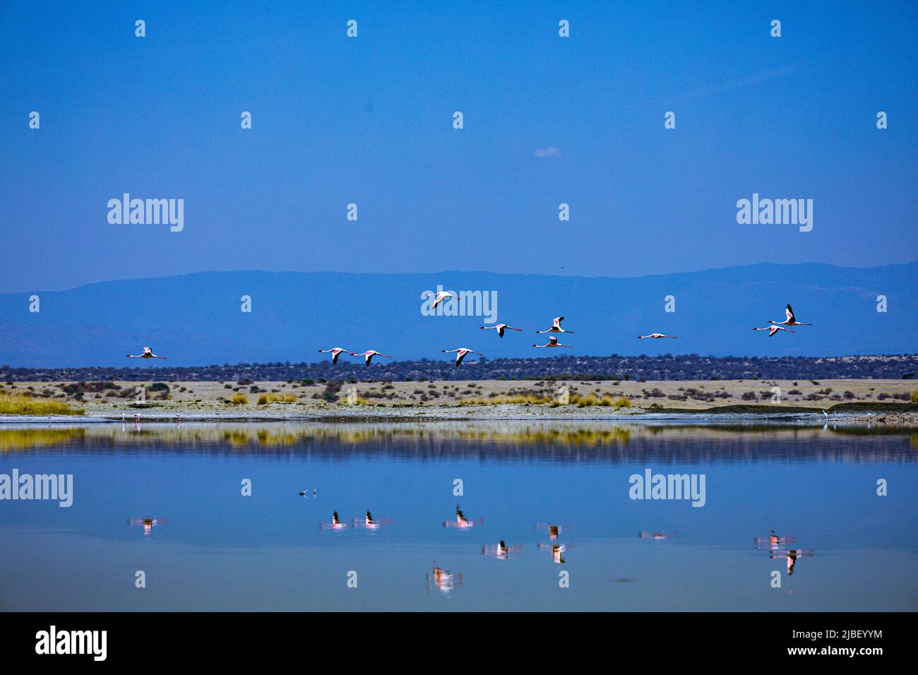 Kenyan Landscapes Lake Magadi is the southernmost lake in the Kenyan ...