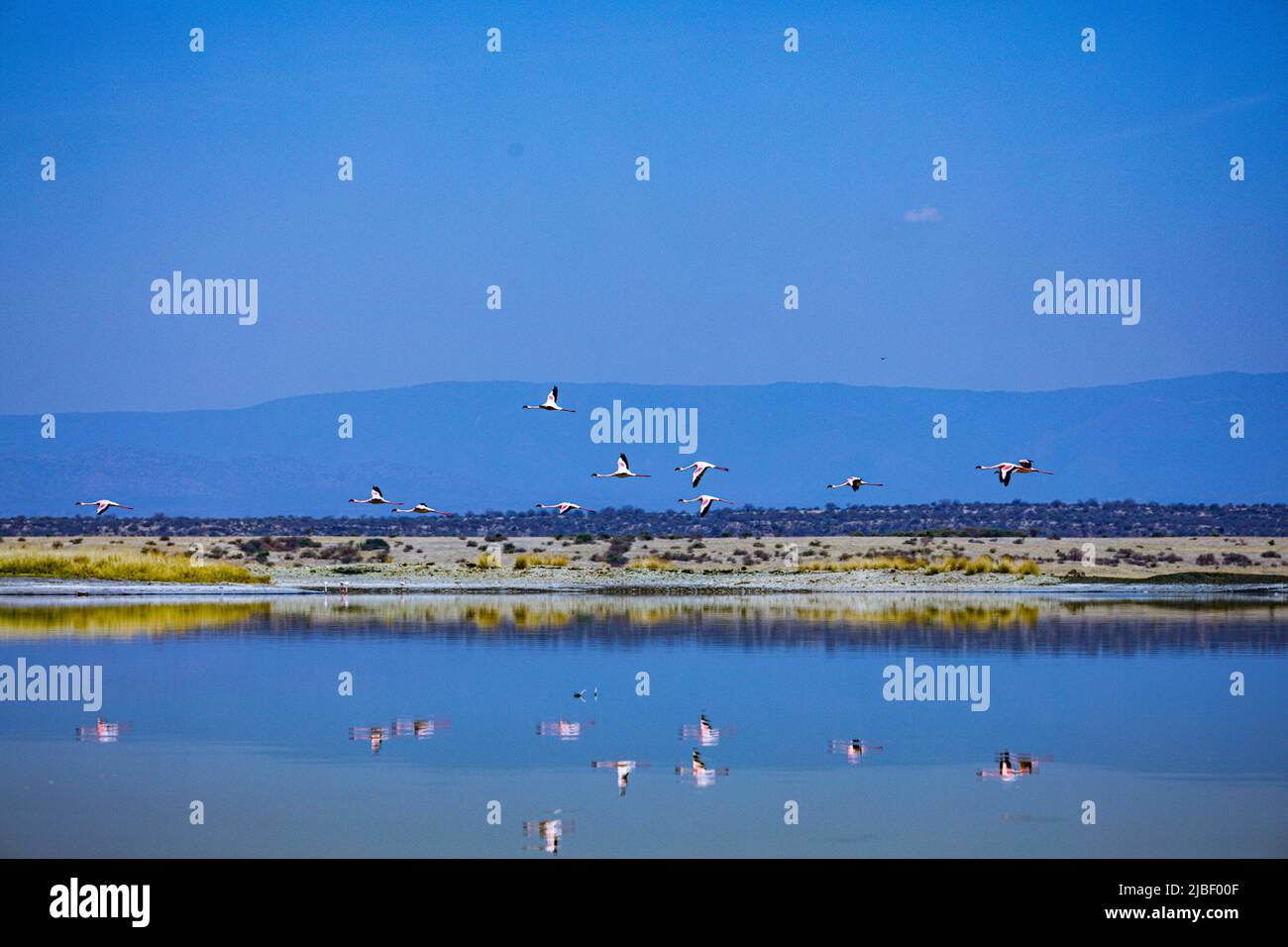 Kenyan Landscapes Lake Magadi is the southernmost lake in the Kenyan ...