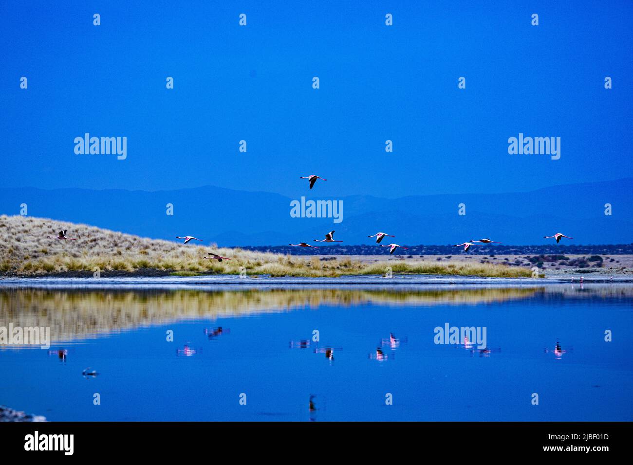 Kenyan Landscapes Lake Magadi is the southernmost lake in the Kenyan ...