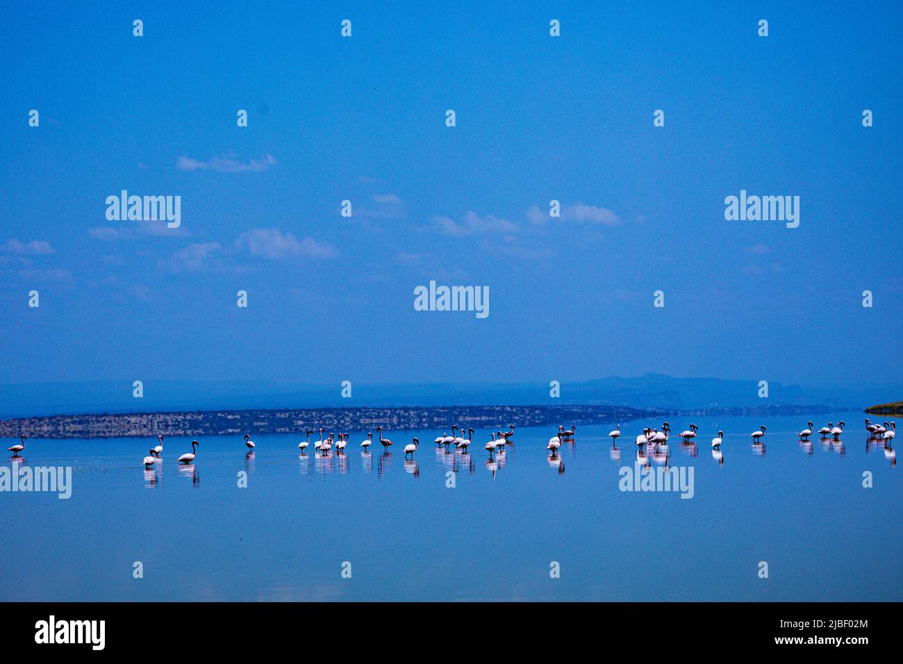 Kenyan Landscapes Lake Magadi is the southernmost lake in the Kenyan ...