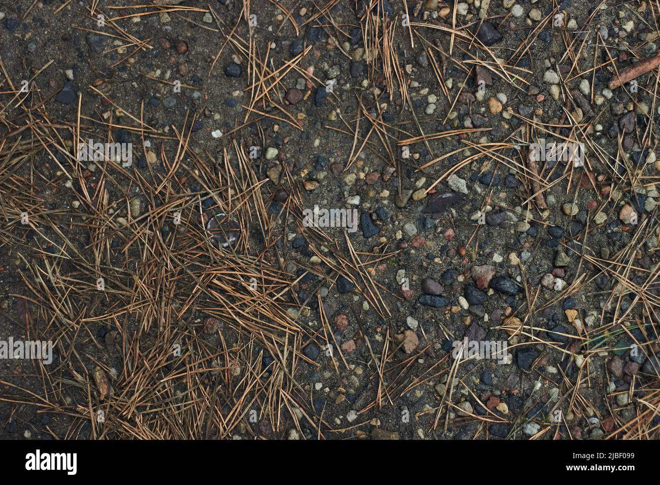 a ground texture background with pieces of grass small rocks pebbles ...