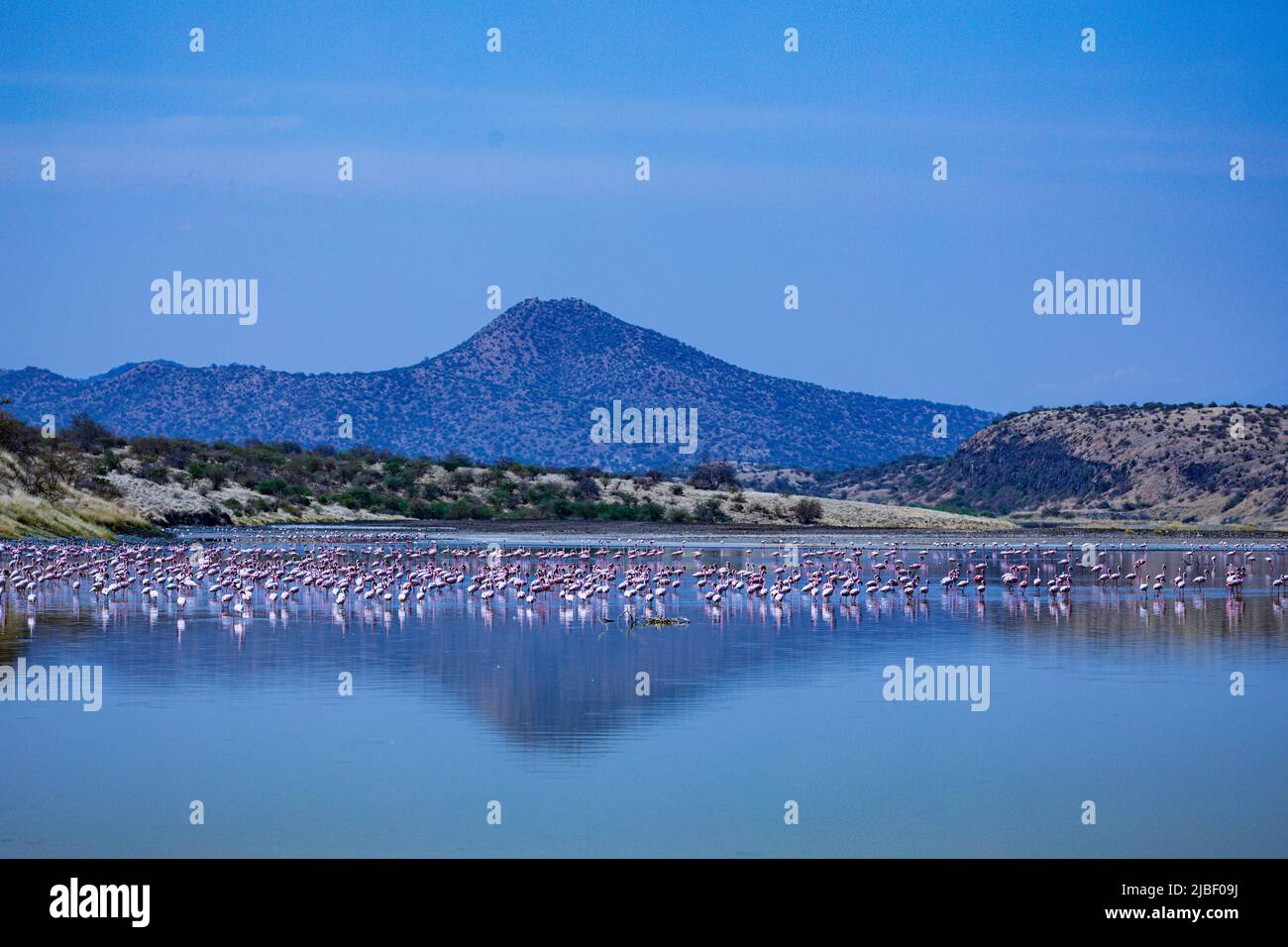 Kenyan Landscapes Lake Magadi is the southernmost lake in the Kenyan ...